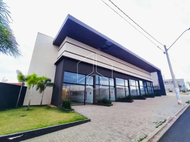 Conj. Comercial / Sala para Locação em Marília/SP Residencial Vida Nova Maracá II Padre Nobrega