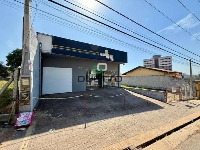 Conj. Comercial / Sala para Locação em Americana/SP Jardim São Domingos