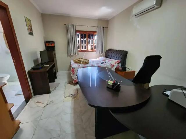 Conj. Comercial / Sala para Locação em Araçatuba/SP Saudade