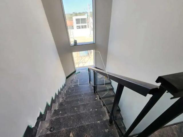 Conj. Comercial / Sala para Locação em Araçatuba/SP Vila Carvalho