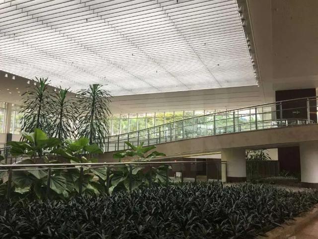 Conj. Comercial / Sala para Locação em Belo Horizonte/MG Cidade Jardim