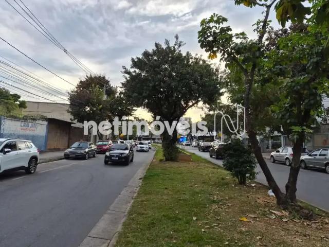 Conj. Comercial / Sala para Locação em Belo Horizonte/MG Dona Clara
