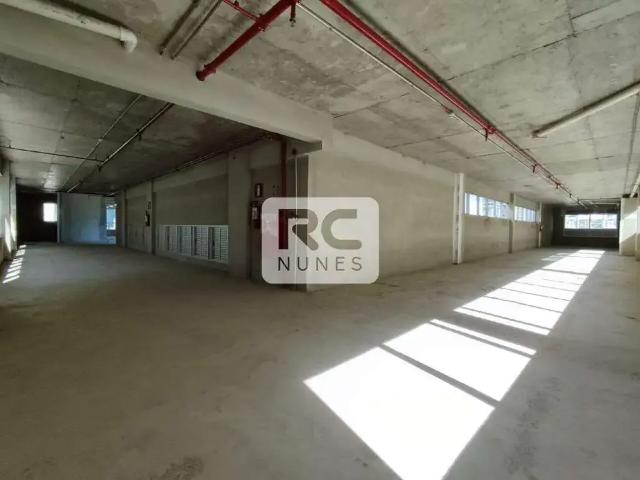 Conj. Comercial / Sala para Locação em Belo Horizonte/MG Santa Efigênia