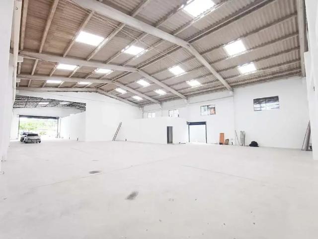 Conj. Comercial / Sala para Locação em Bertioga/SP Jardim Albatroz