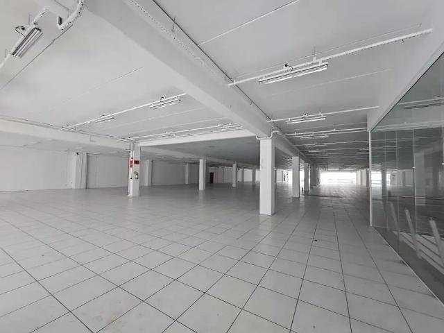 Conj. Comercial / Sala para Locação em Blumenau/SC Centro 1 Quartos