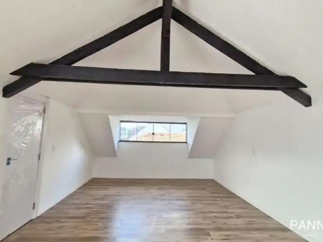 Conj. Comercial / Sala para Locação em Blumenau/SC Centro