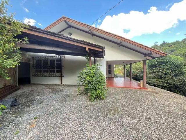 Conj. Comercial / Sala para Locação em Blumenau/SC Bom Retiro 7 Quartos