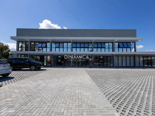 Conj. Comercial / Sala para Locação em Blumenau/SC Itoupava Norte