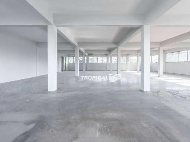 Conj. Comercial / Sala para Locação em Blumenau/SC Itoupava Norte