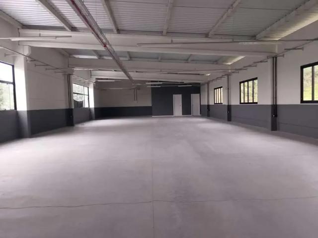 Conj. Comercial / Sala para Locação em Blumenau/SC Salto