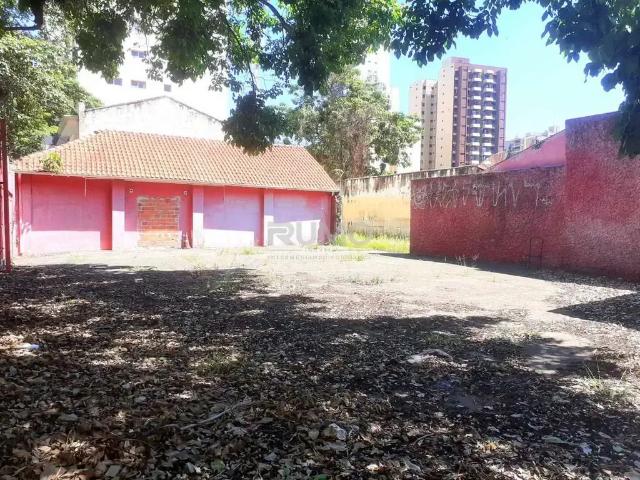Conj. Comercial / Sala para Locação em Campinas/SP Cambuí 1 Quartos