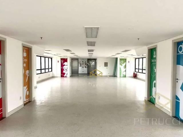 Conj. Comercial / Sala para Locação em Campinas/SP Cambuí
