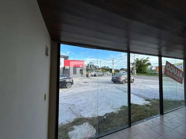 Conj. Comercial / Sala para Locação em Florianópolis/SC Campeche