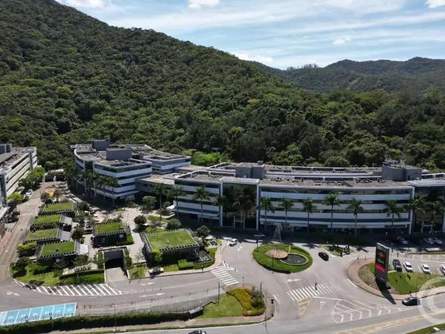 Conj. Comercial / Sala para Locação em Florianópolis/SC Cacupé