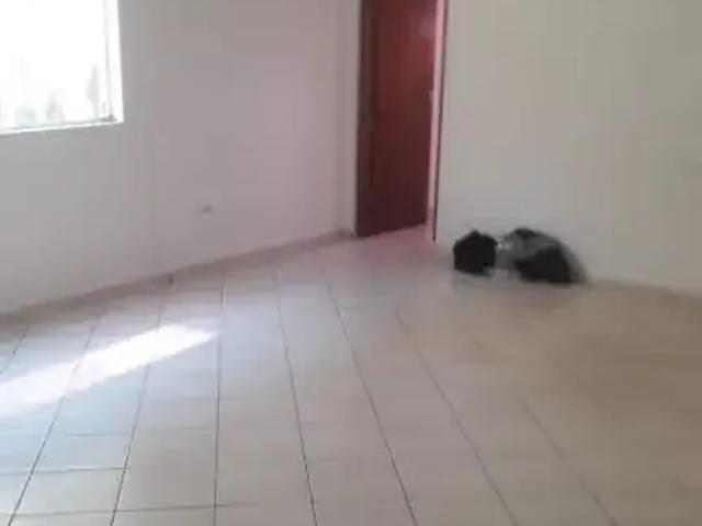 Conj. Comercial / Sala para Locação em Guarulhos/SP Jardim Vila Galvão