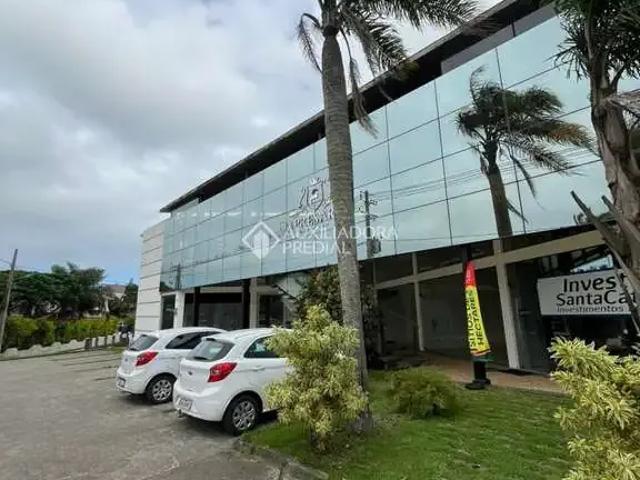 Conj. Comercial / Sala para Locação em Garopaba/SC Areais da Palhocinha