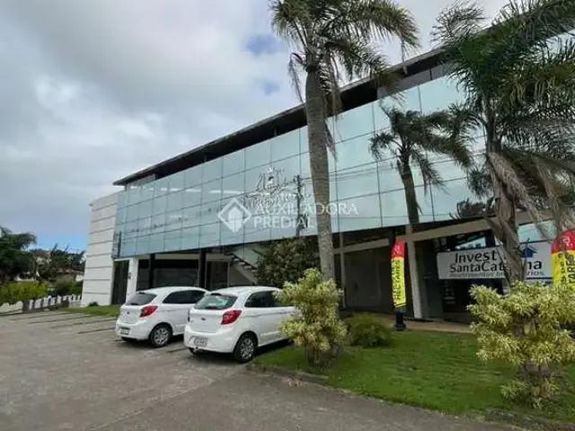 Conj. Comercial / Sala para Locação em Garopaba/SC Areais da Palhocinha