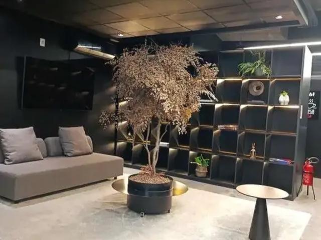 Conj. Comercial / Sala para Locação em Itapema/SC Morretes