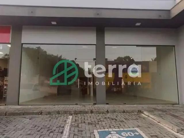 Conj. Comercial / Sala para Locação em Indaial/SC Rio Morto