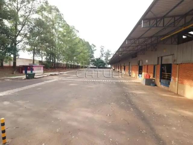 Conj. Comercial / Sala para Locação em Londrina/PR Estância Dlaville 1 Quartos