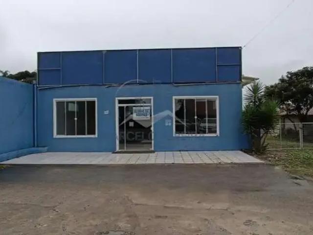 Conj. Comercial / Sala para Locação em Piên/PR Avencal