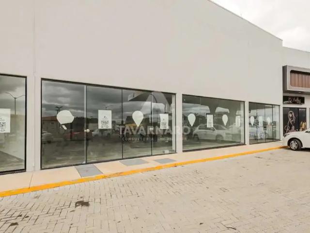 Conj. Comercial / Sala para Locação em Ponta Grossa/PR Cará cará