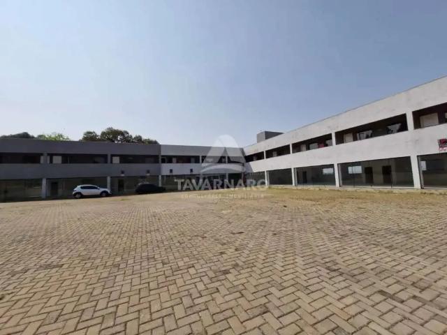 Conj. Comercial / Sala para Locação em Ponta Grossa/PR Cará cará