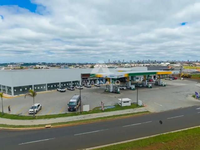 Conj. Comercial / Sala para Locação em Ponta Grossa/PR Cará cará