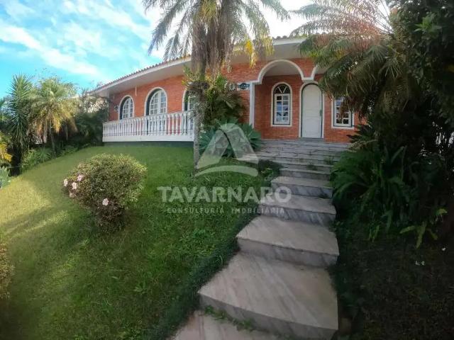 Conj. Comercial / Sala para Locação em Ponta Grossa/PR Estrela