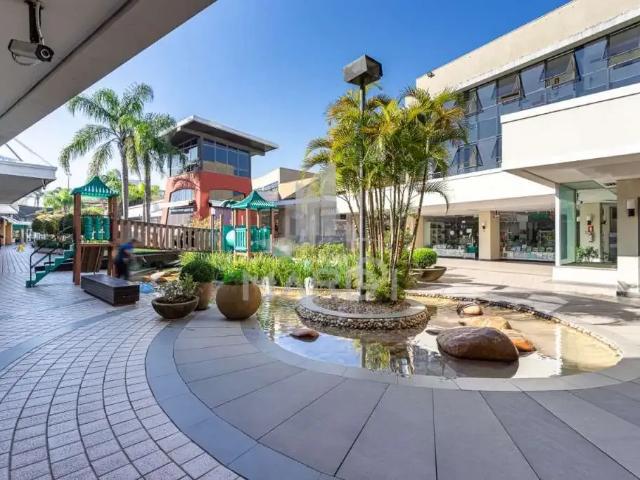 Conj. Comercial / Sala para Locação em Porto Alegre/RS Tristeza