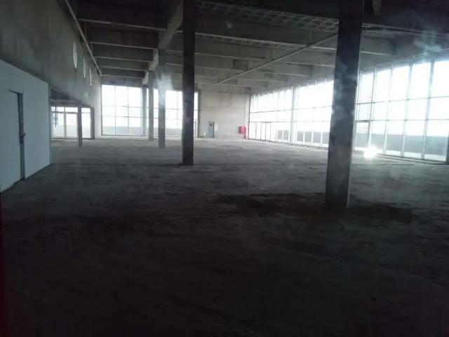 Conj. Comercial / Sala para Locação em Recife/PE Ilha do Leite