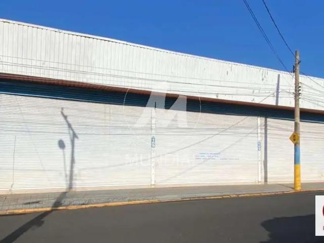 Conj. Comercial / Sala para Locação em Ribeirão Preto/SP Vila Tibério