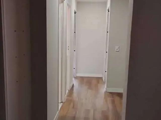 Conj. Comercial / Sala para Locação em Rio de Janeiro/RJ Barra da Tijuca