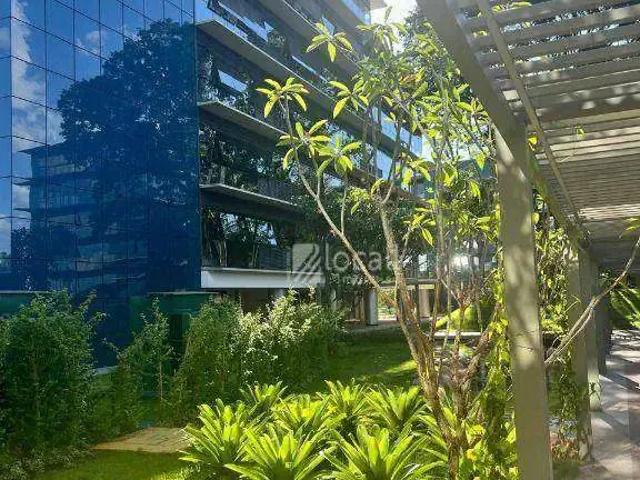 Conj. Comercial / Sala para Locação em São José do Rio Preto/SP Jardim Vivendas