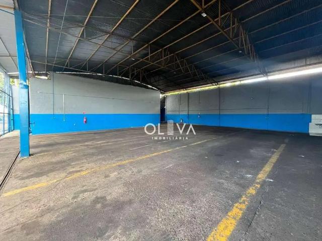 Conj. Comercial / Sala para Locação em São José do Rio Preto/SP Jardim Primavera