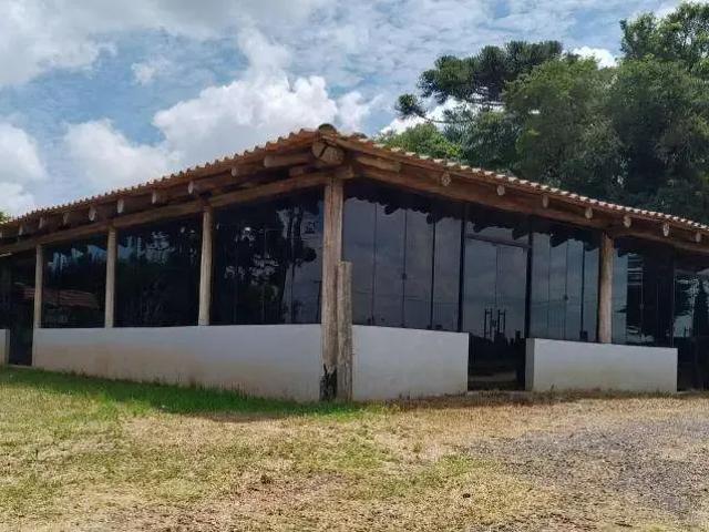 Conj. Comercial / Sala para Locação em São José dos Pinhais/PR Colônia Murici