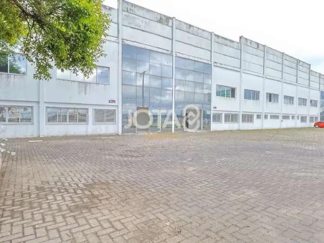 Conj. Comercial / Sala para Locação em São José dos Pinhais/PR Guatupê