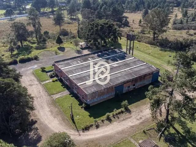 Conj. Comercial / Sala para Locação em São José dos Pinhais/PR Dom Rodrigo