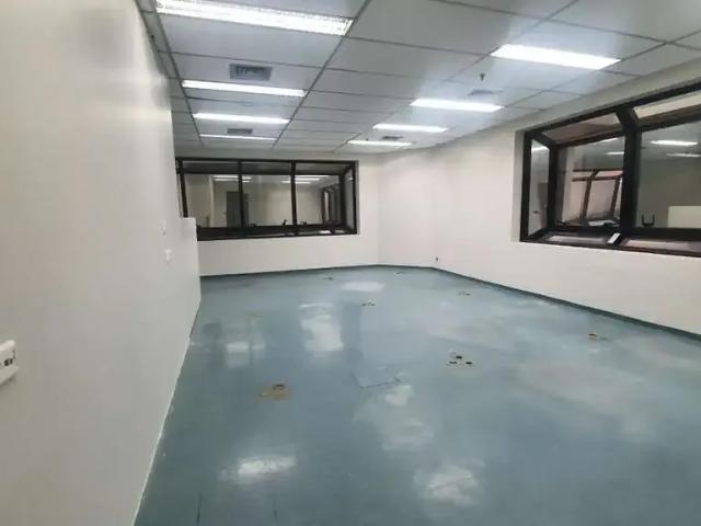 Conj. Comercial / Sala para Locação em São Paulo/SP Água Branca