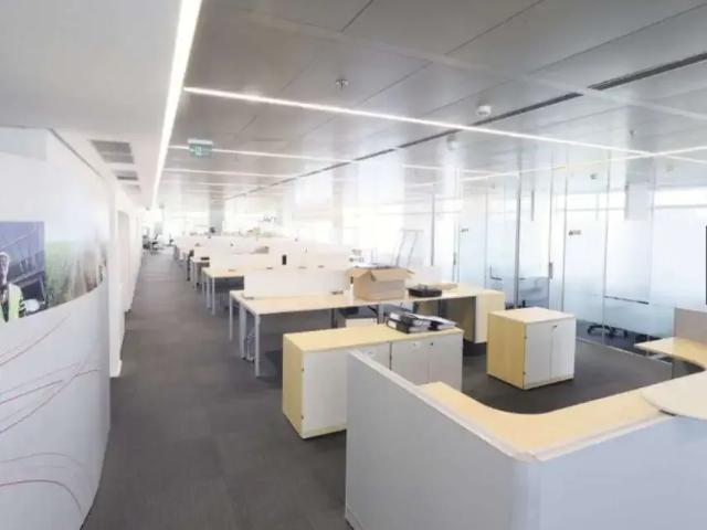 Conj. Comercial / Sala para Locação em São Paulo/SP Butantã