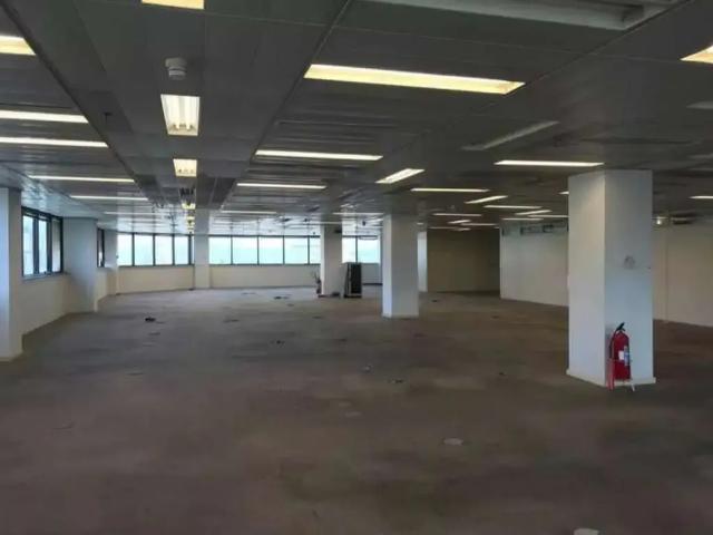 Conj. Comercial / Sala para Locação em São Paulo/SP Bela Vista