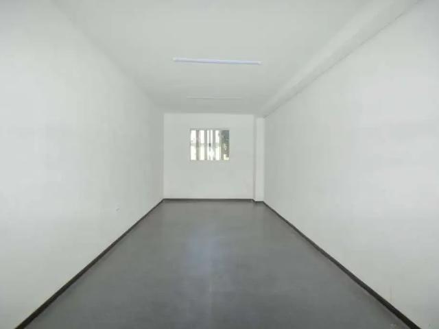 Conj. Comercial / Sala para Locação em São Paulo/SP Canindé