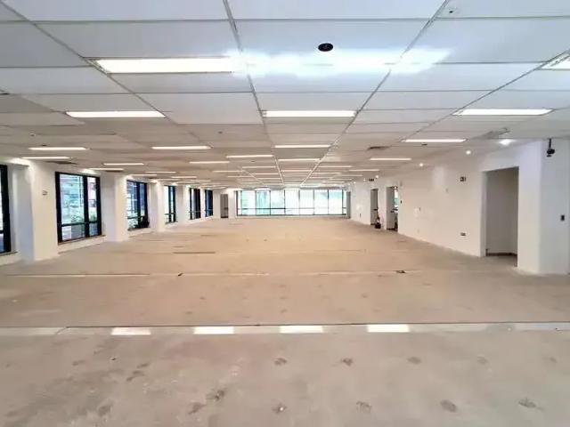 Conj. Comercial / Sala para Locação em São Paulo/SP Cerqueira César