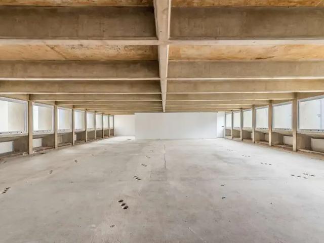 Conj. Comercial / Sala para Locação em São Paulo/SP Cerqueira César