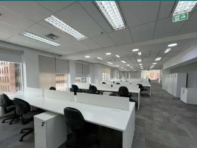Conj. Comercial / Sala para Locação em São Paulo/SP Chácara Santo Antônio