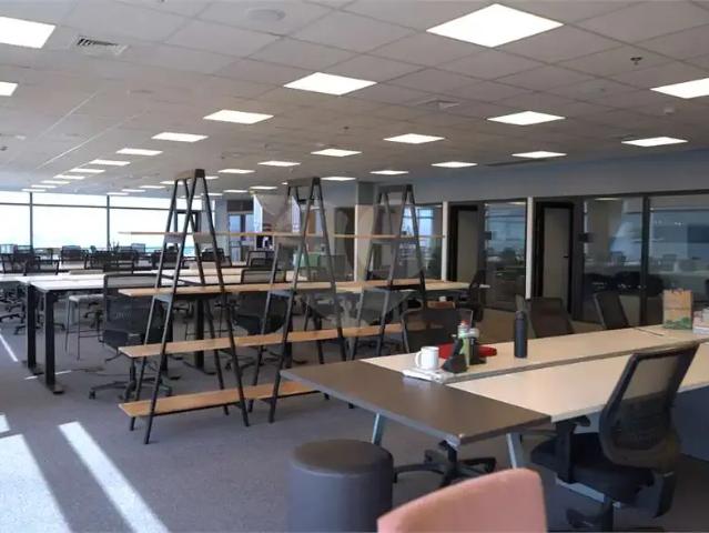Conj. Comercial / Sala para Locação em São Paulo/SP Chácara Santo Antônio