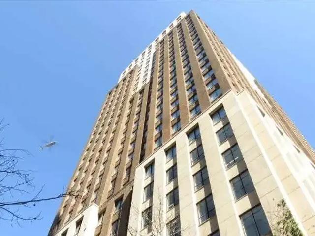 Conj. Comercial / Sala para Locação em São Paulo/SP Cidade Jardim