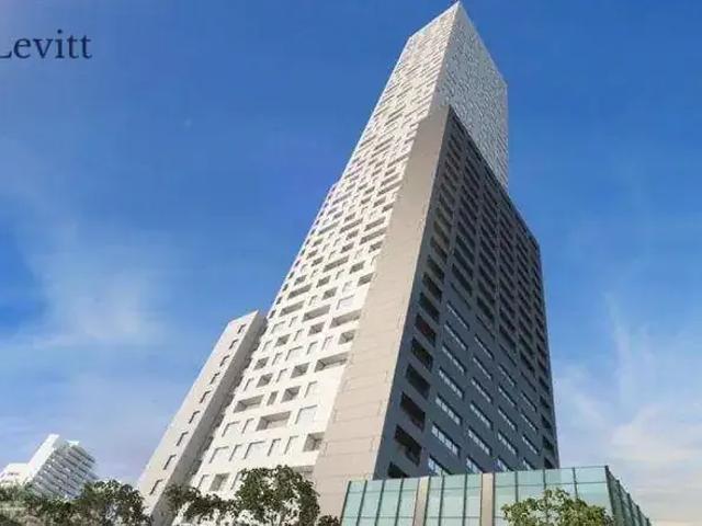 Conj. Comercial / Sala para Locação em São Paulo/SP Cidade Mãe do Céu