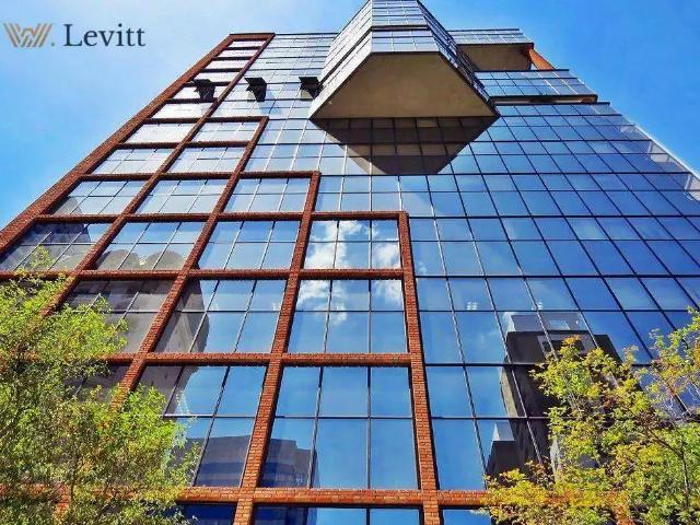 Conj. Comercial / Sala para Locação em São Paulo/SP Cidade Monções