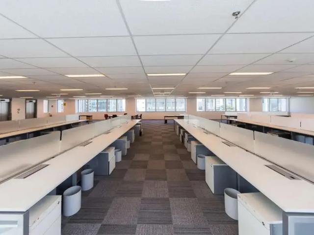 Conj. Comercial / Sala para Locação em São Paulo/SP Jardim Paulistano